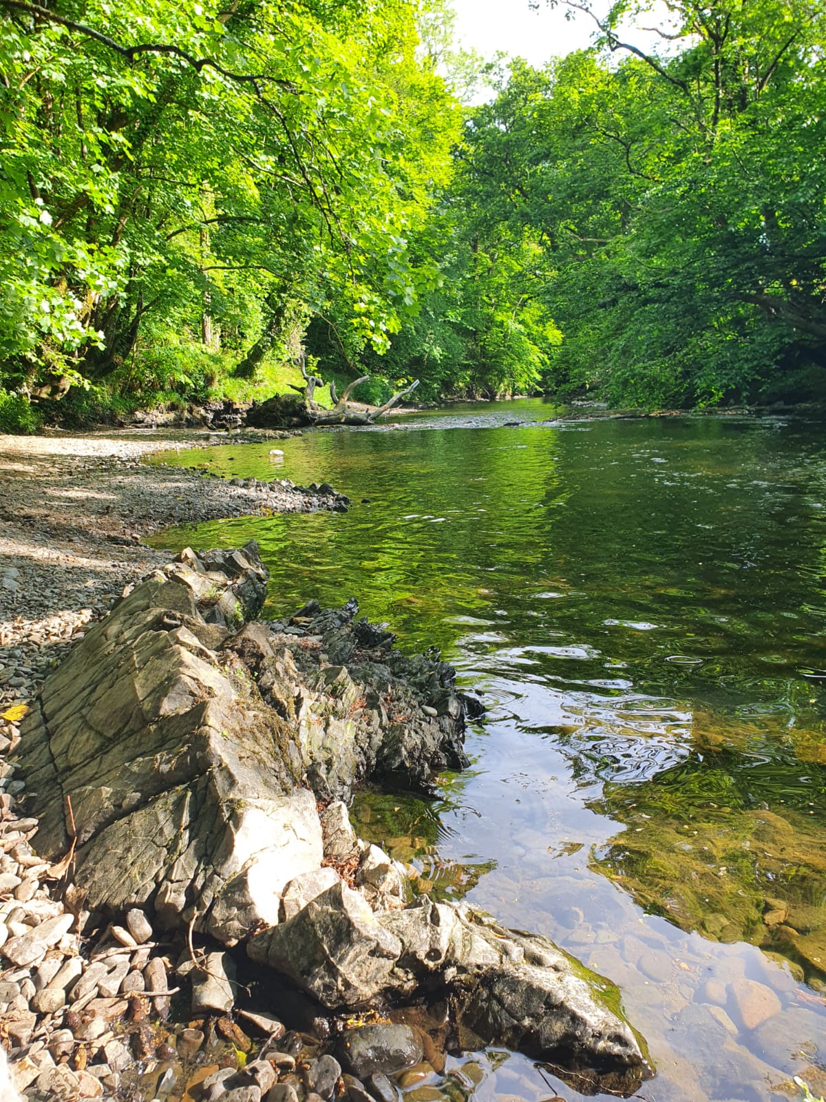 Leaving the Local Government Pension Scheme - Peninsula Pensions